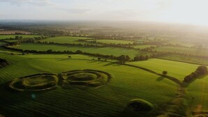 Vista aérea de uma paisagem verde com campos ondulantes e algumas árvores dispersas.