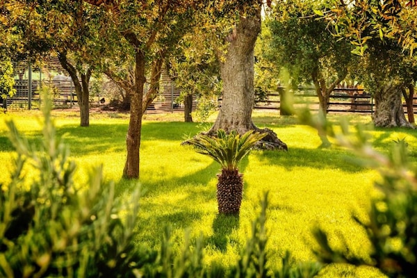 Jardim