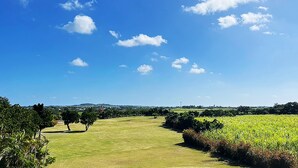 Um campo amplo e aberto com céu claro e nuvens esparsas.