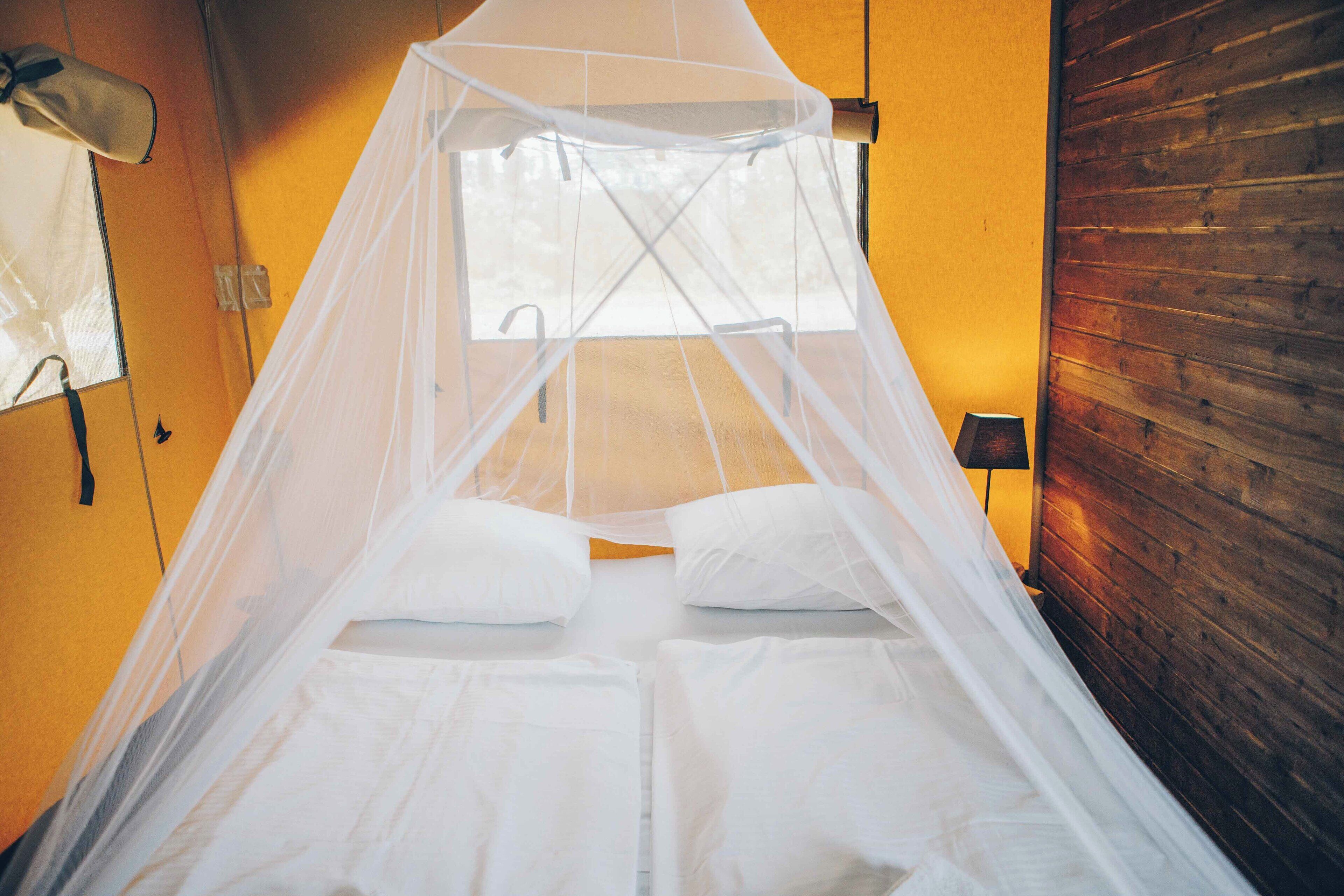 Camping, With The Luxury Of Home? Stay In A Glamping Tent For 5 People At Wilsumer Berge - Basse-Saxe