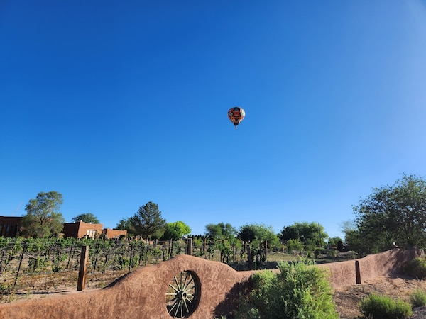 Red Mountain Manor Vineyard And Guesthouse - Rio Rancho, NM