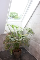 Loftet | Casa de banho | Um secador de cabelo, toalhas fornecidas, papel higiénico 