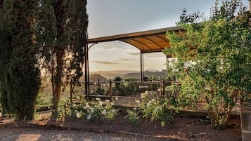 Terraço/pátio interior