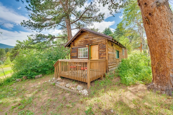 'Minnehaha' Allenspark Cabin Near Hiking! - Allenspark, CO