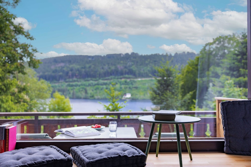 Black Forest Apartments Titisee - Hinterzarten