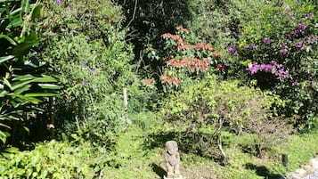 Jardim