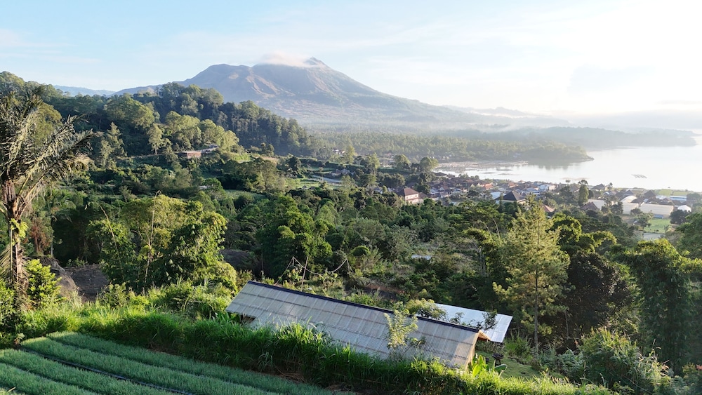 Calidas Hill - Kintamani