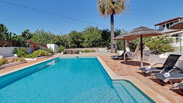 Uma piscina retangular com superfície de água azul cristalina, rodeada por um deck ladrilhado. Há espreguiçadeiras e uma rede sob um guarda-sol de palha. Uma palmeira alta é visível ao fundo.