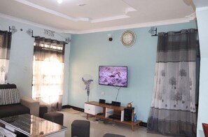 Televisor 