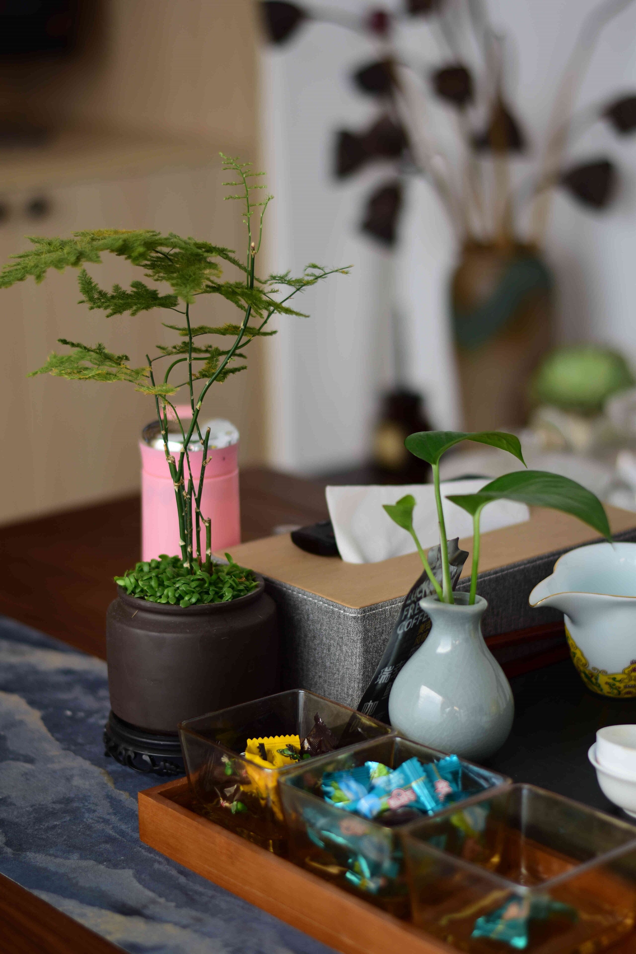 Uma mesa de jantar com diversos objetos, incluindo um vaso de planta, um recipiente rosa e uma bandeja com objetos coloridos.