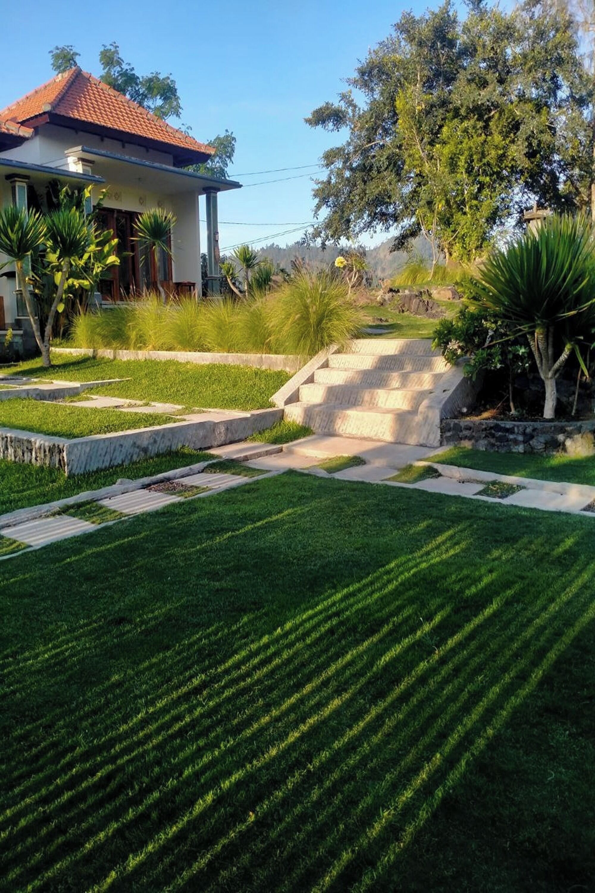 Um jardim bem cuidado com uma casa, uma escadaria de pedra e diversas plantas.