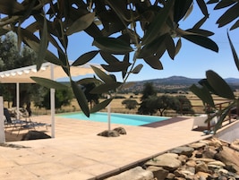 Casa | Vista para o jardim