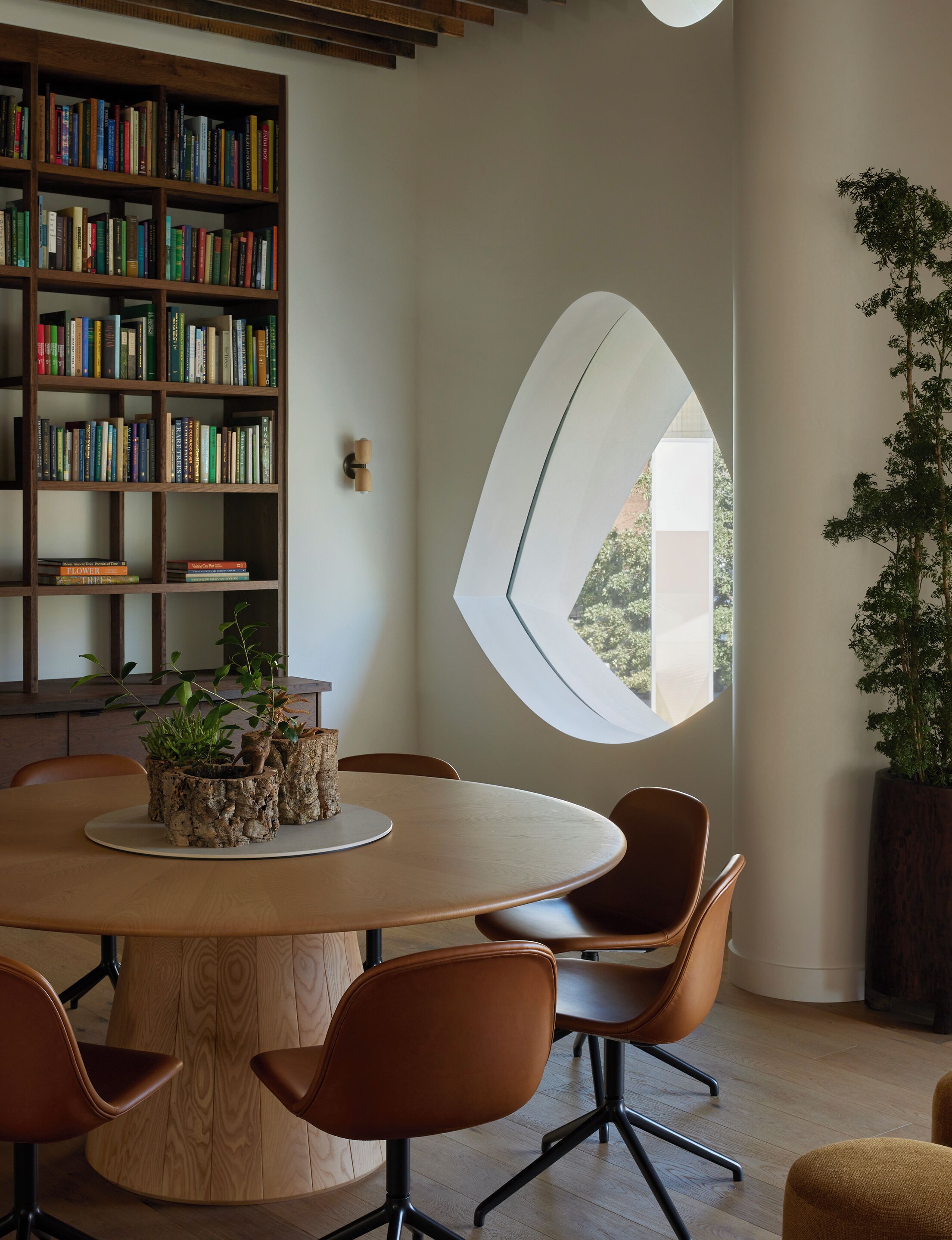 Uma área de jantar moderna com uma mesa de madeira, cadeiras marrons, uma estante cheia de livros e uma janela grande com um design curvo singular.