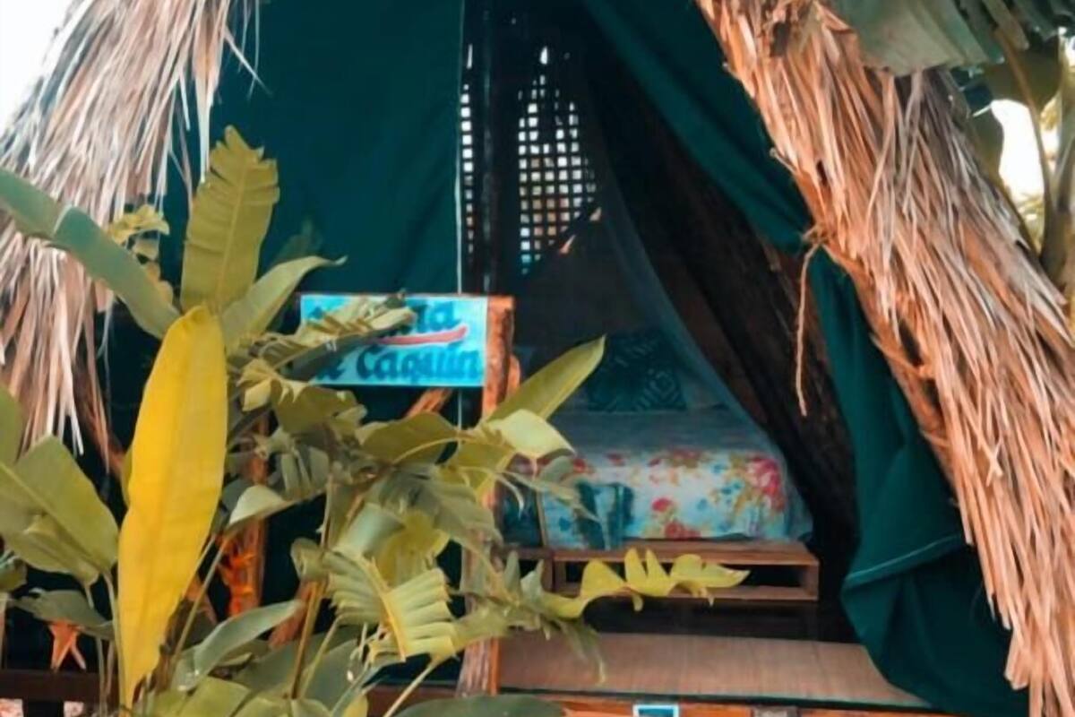 Uma cabana com telhado de palha e cama por dentro, rodeada por plantas tropicais.