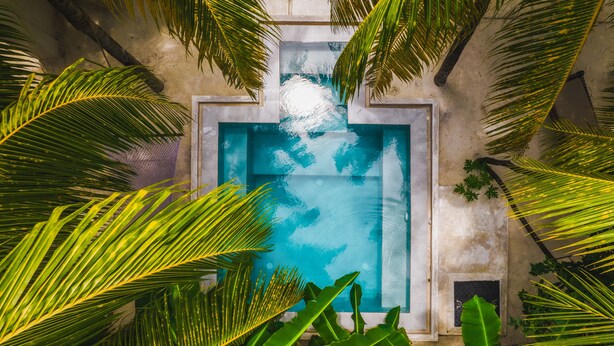 Uma piscina retangular com água azul cristalina, rodeada por vegetação tropical exuberante.