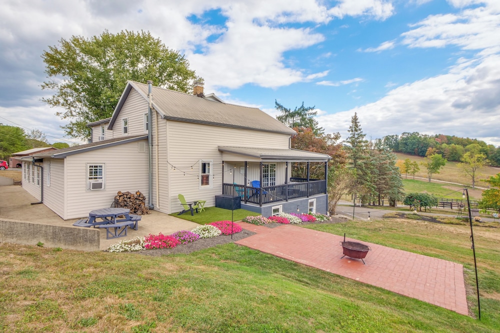 Meet Country Animals! Farmyard Stays Dundee Home - Ohio