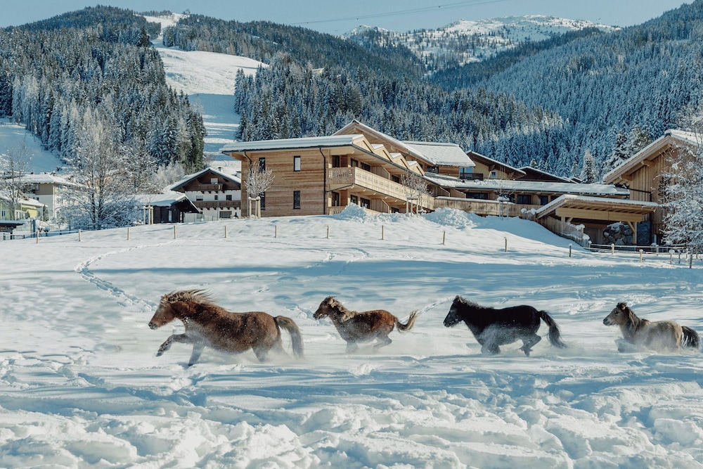 Mariengut - Aparthotel Kramer - Wagrain