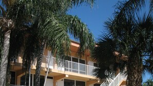Um edifício com vários andares, varandas, área externa cercada com uma mesa de piquenique e palmeiras.