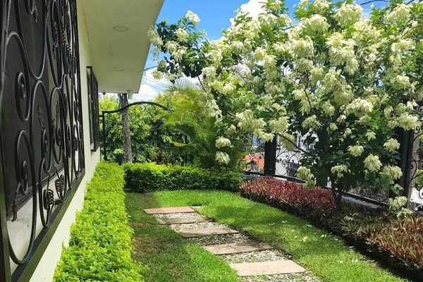Terraço/pátio interior