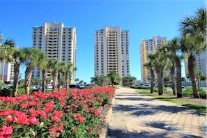 Condo, várias camas (Beach Colony West 6D) | Área da propriedade