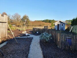 Um jardim com caminho de cascalho, cerca de madeira e um pequeno galpão.