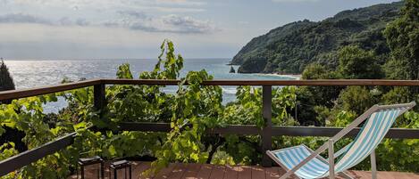 Apartamento exclusivo | Terraço/pátio