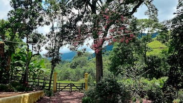 Entrada (vista interna)