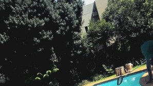 Piscina com um caminho de tijolos que a leva, cercada por vegetação.