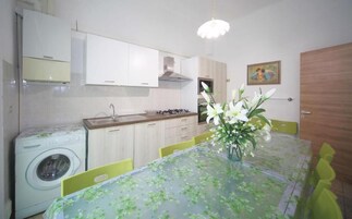 Uma cozinha compacta com máquina de lavar, mesa de jantar com cadeiras e um vaso com flores.