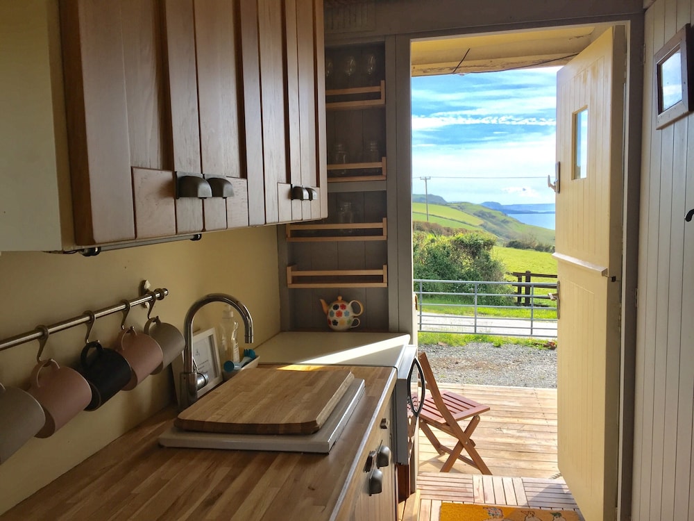 Sea The Stars - New Quay