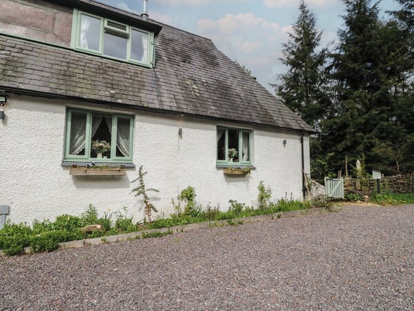 The Cottage In The Woods - Loch Awe