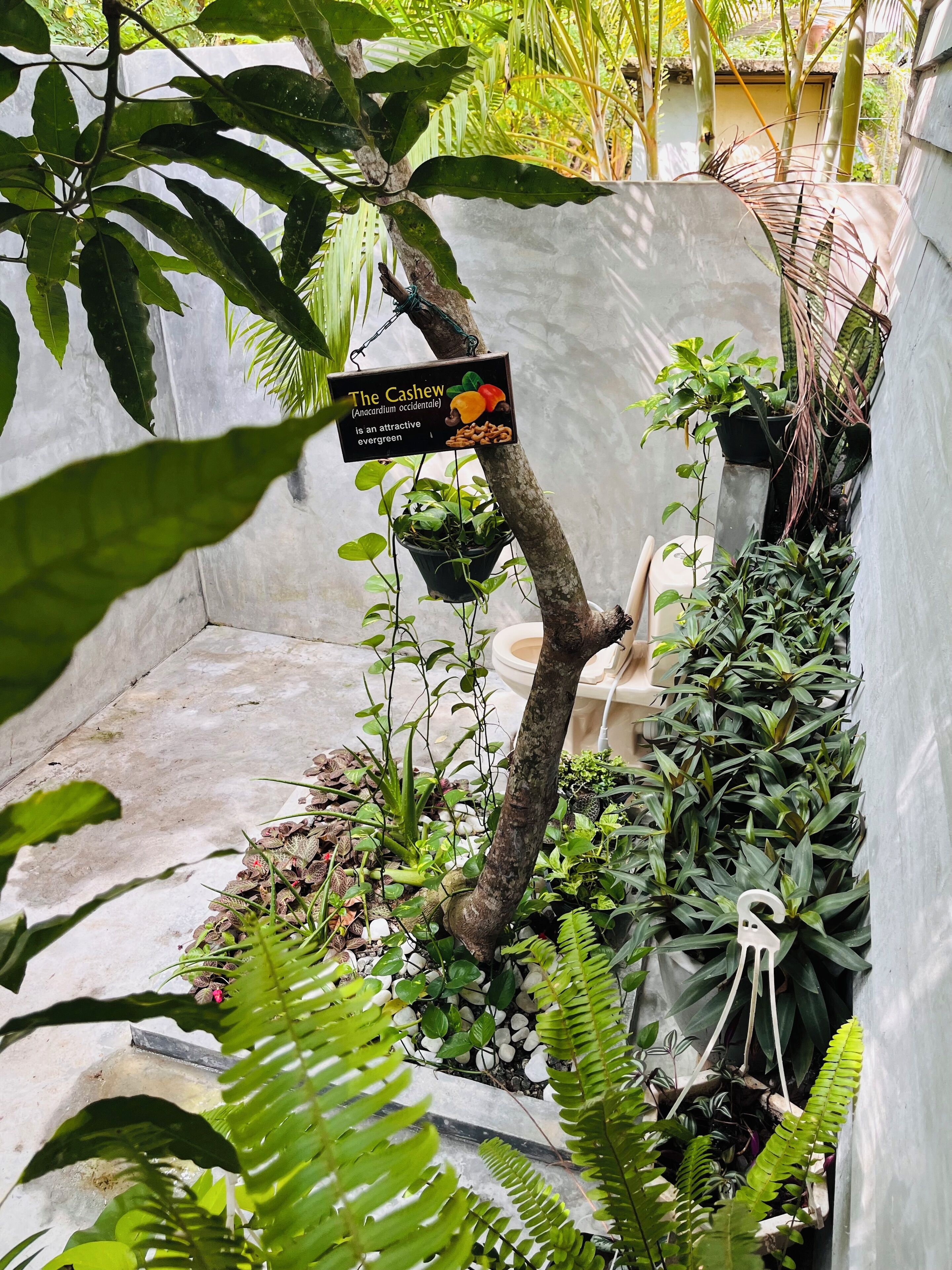 Casa de campo com design assinado | Banheiro | Chuveiro, chuveiro com efeito de chuva, produtos de toalete grátis 