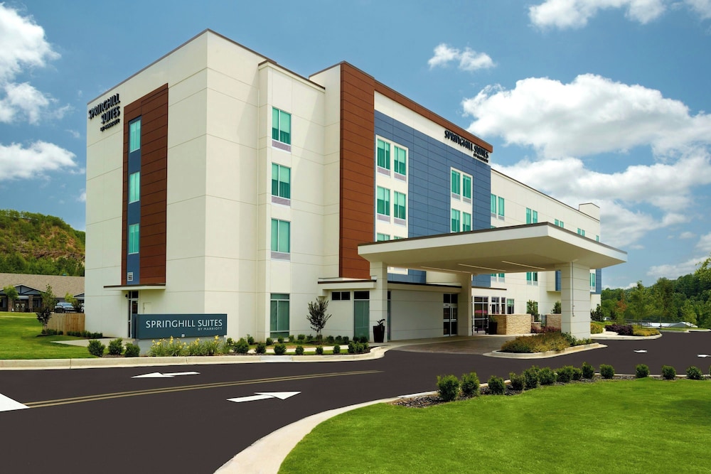 Springhill Suites By Marriott Ellijay - Ellijay