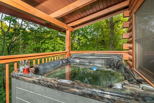 Bear Necessities - Douglas Lake, TN