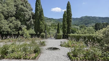 Jardim