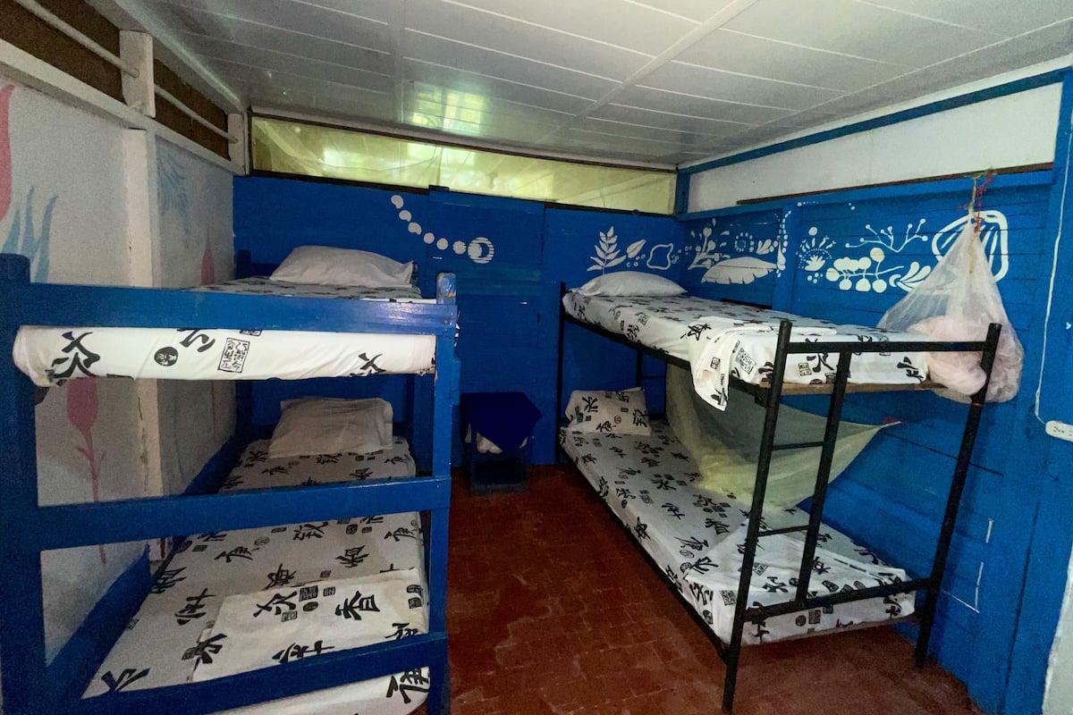 Um quarto de dormitório com beliches, janela com vista e um mural floral na parede.