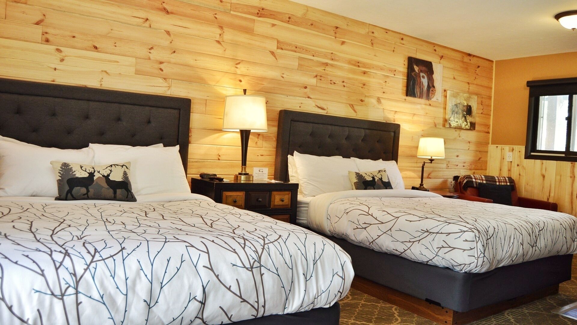 Come Stay At The Mountain Lodge For Unbelievable Views! - Estes Park, CO