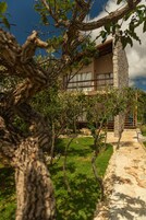Um edifício moderno com fachada de pedra, deck de madeira e um jardim bem cuidado com árvores jovens e céu claro.