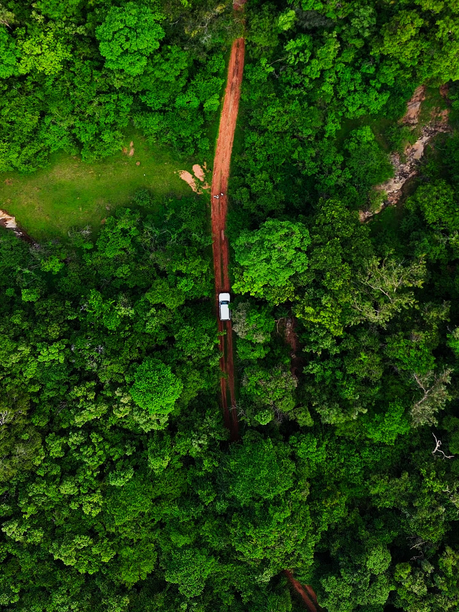 Um veículo branco numa estrada estreita, rodeado por uma floresta verde densa.