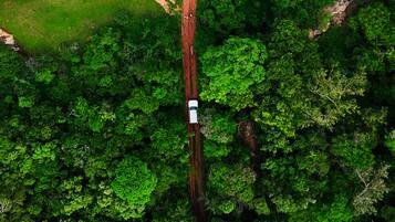 Um veículo branco numa estrada estreita, rodeado por uma floresta verde densa.