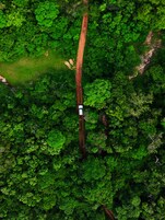 Um veículo branco numa estrada estreita, rodeado por uma floresta verde densa.