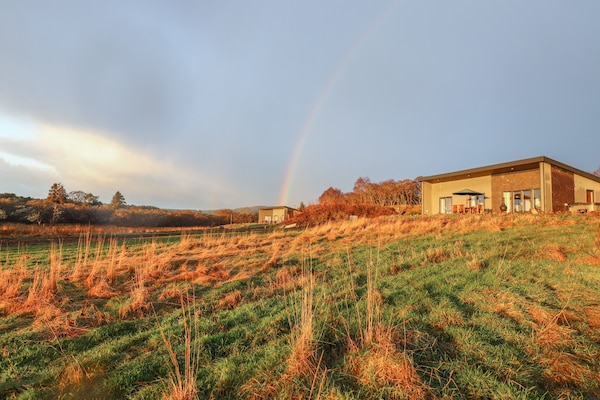 Red Squirrel - Dornoch