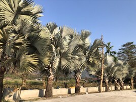 Fachada do alojamento