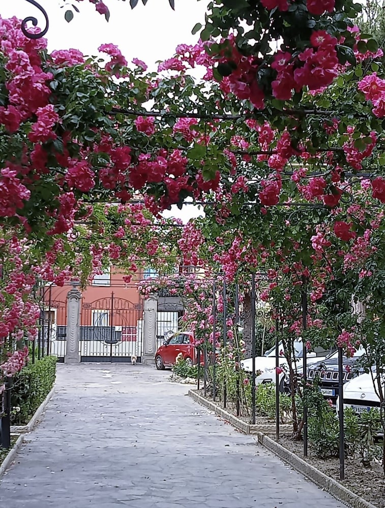 Hotel Villa Pina - Senigallia