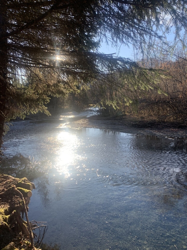 Bear Bottoms At Salmon Creek - Seward, AK