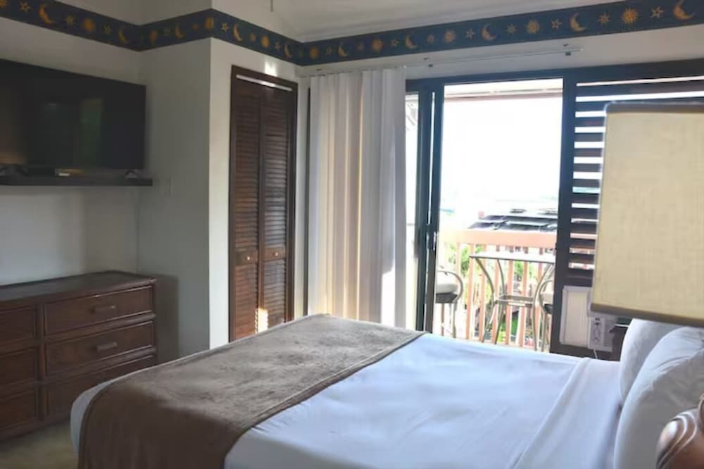 Oceanview Kalapaki Beach Healthy / Non-toxic 2-bedroom Condo With Wifi, Ac - Lihue, HI