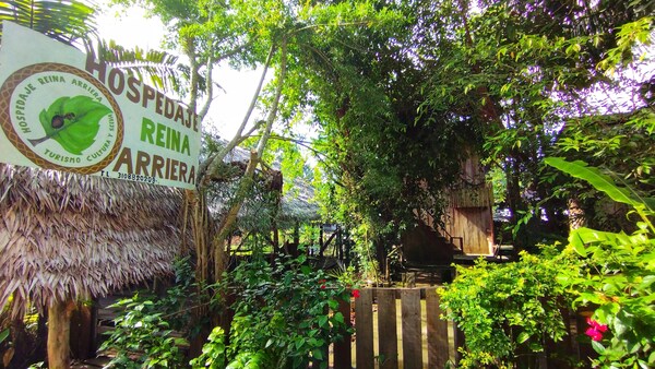 Hospedaje  Reina Arriera Amazonas - Amazonas