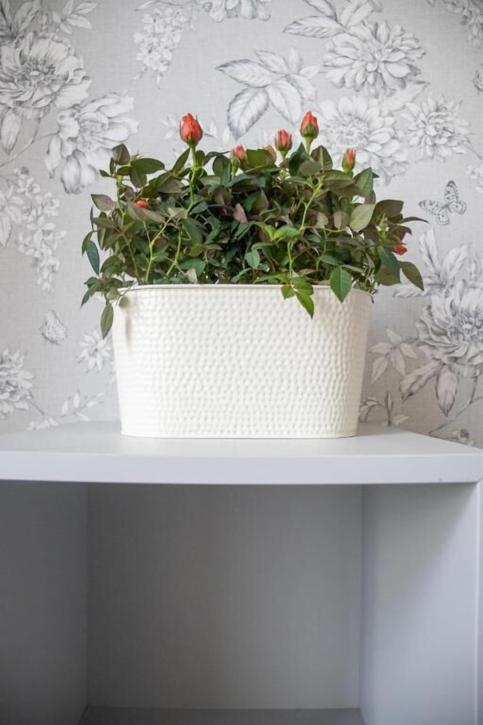 Um cachepot branco texturizado com folhas verdes e botões vermelhos sobre uma prateleira branca, com um fundo de papel de parede floral.