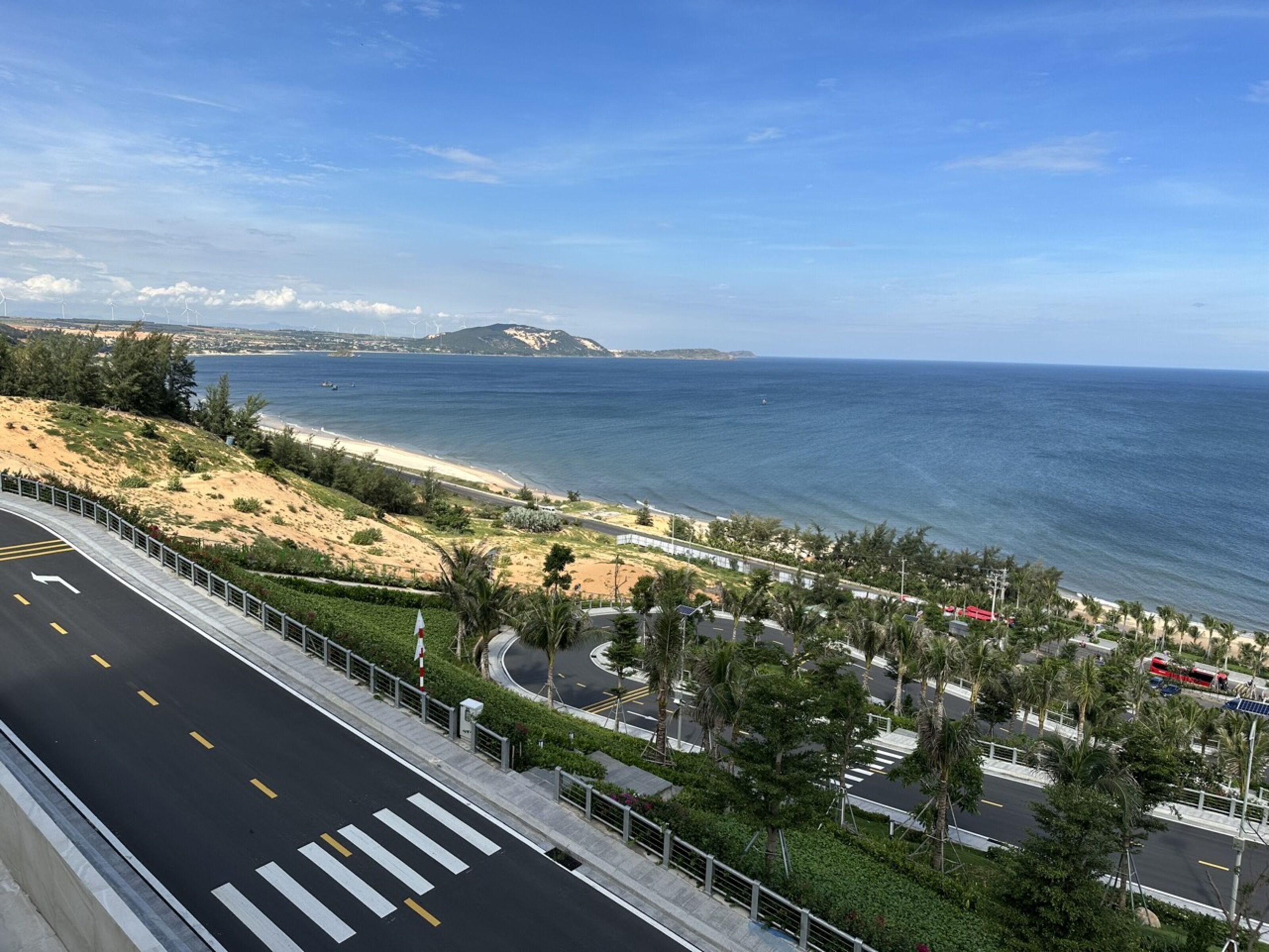 Uma estrada costeira com faixa de pedestres, palmeiras e uma praia ao fundo.