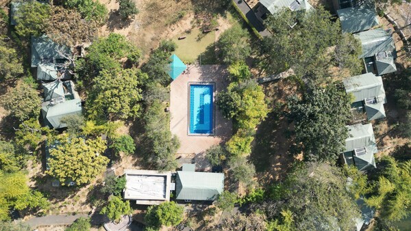 Tathastu Bandhavgarh - Bandhavgarh National Park